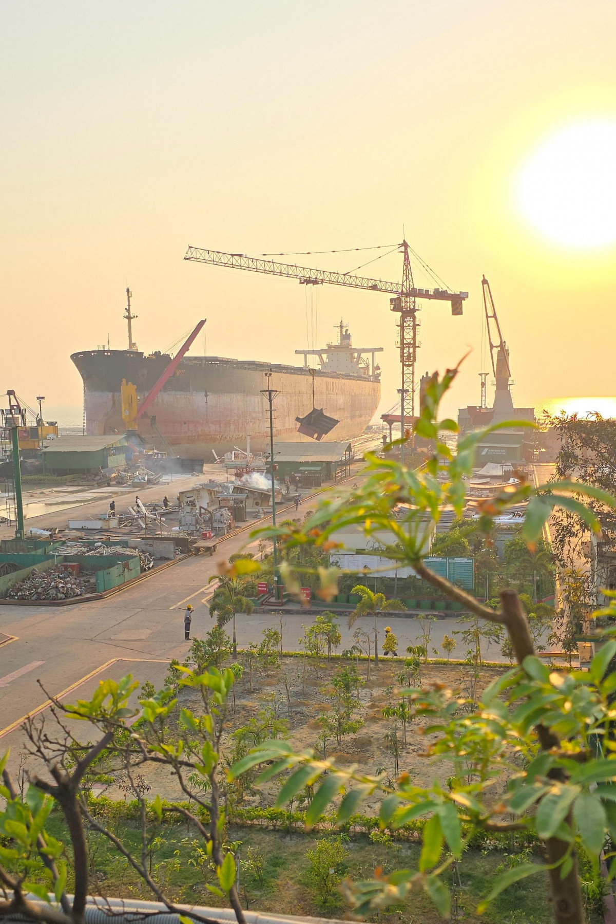 International Union of Marine Insurance